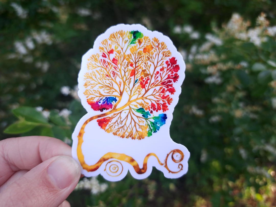 Rainbow Placenta Love Sticker for Midwife Gift for Doula Sticker for ...