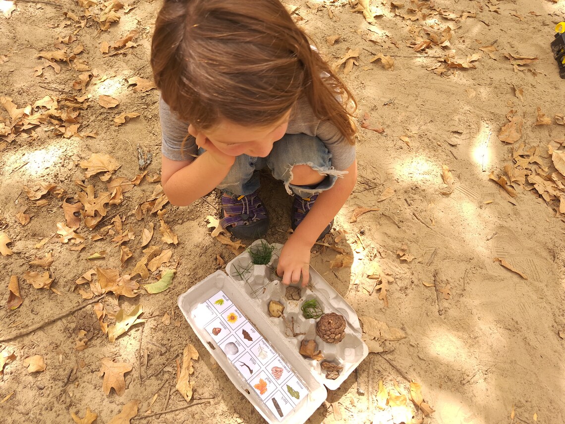 Egg Carton Nature Scavenger Hunt Printable Fall Scavenger Hunt ...