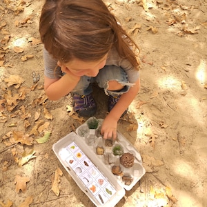 Egg Carton Nature Scavenger Hunt Printable Fall Scavenger Hunt ...