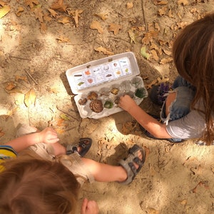 Egg Carton Nature Scavenger Hunt Printable Fall Scavenger Hunt ...