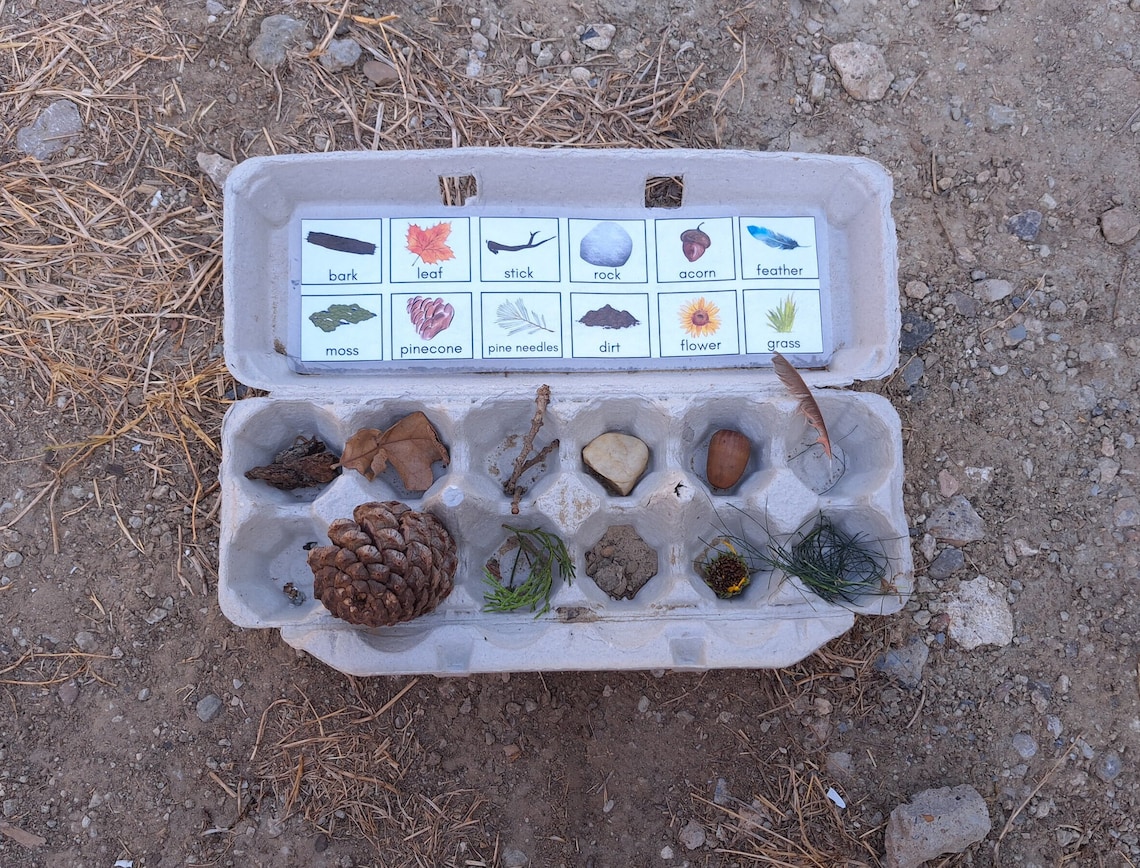 Egg Carton Nature Scavenger Hunt Printable Fall Scavenger Hunt ...