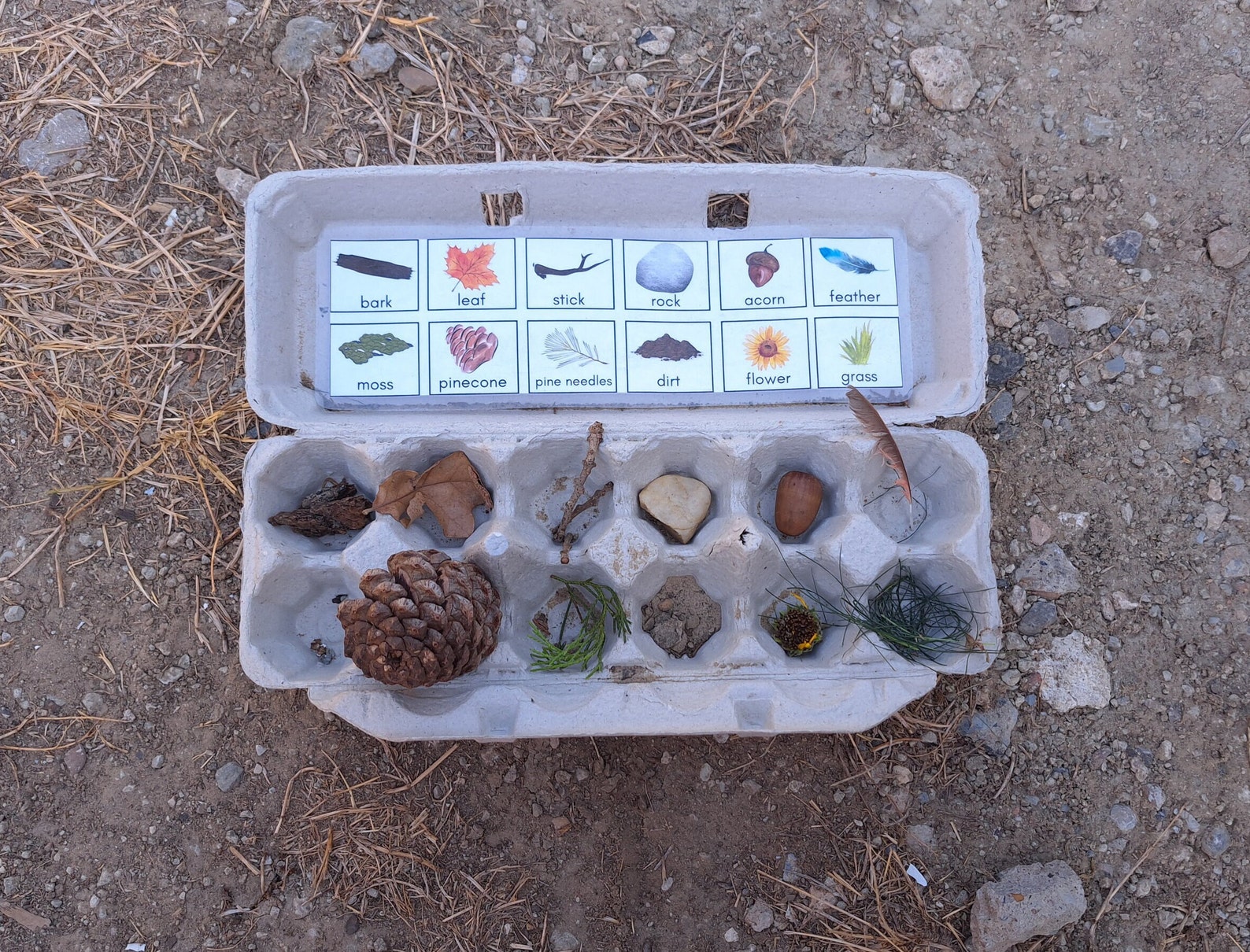 Egg Carton Nature Scavenger Hunt Printable Fall Scavenger Hunt ...