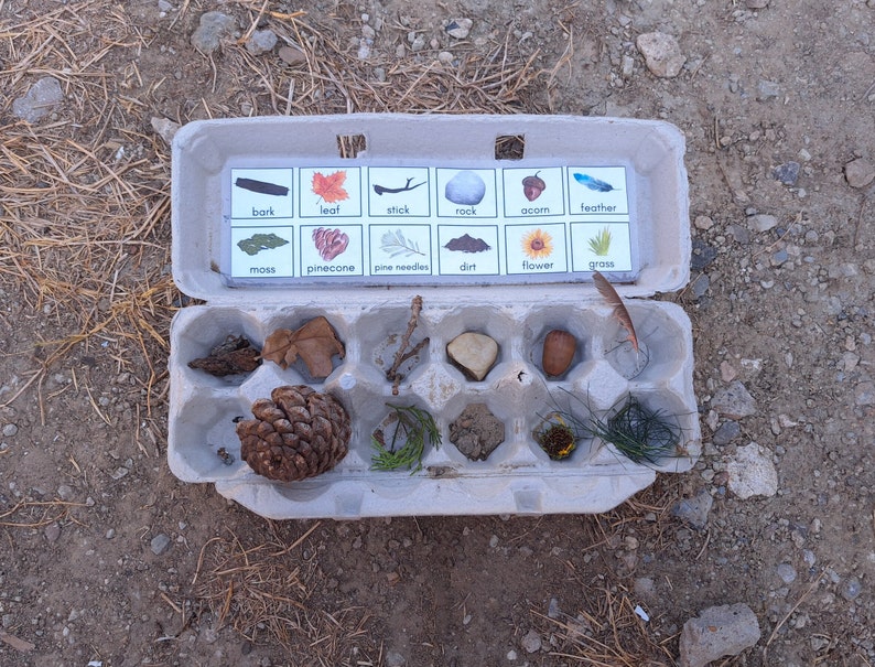 Egg Carton Nature Scavenger Hunt Printable Fall Scavenger Hunt ...