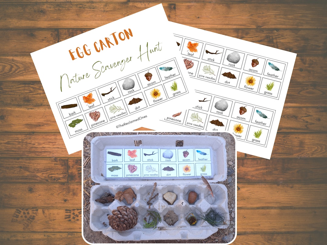 Egg Carton Nature Scavenger Hunt Printable Fall Scavenger Hunt - Etsy ...