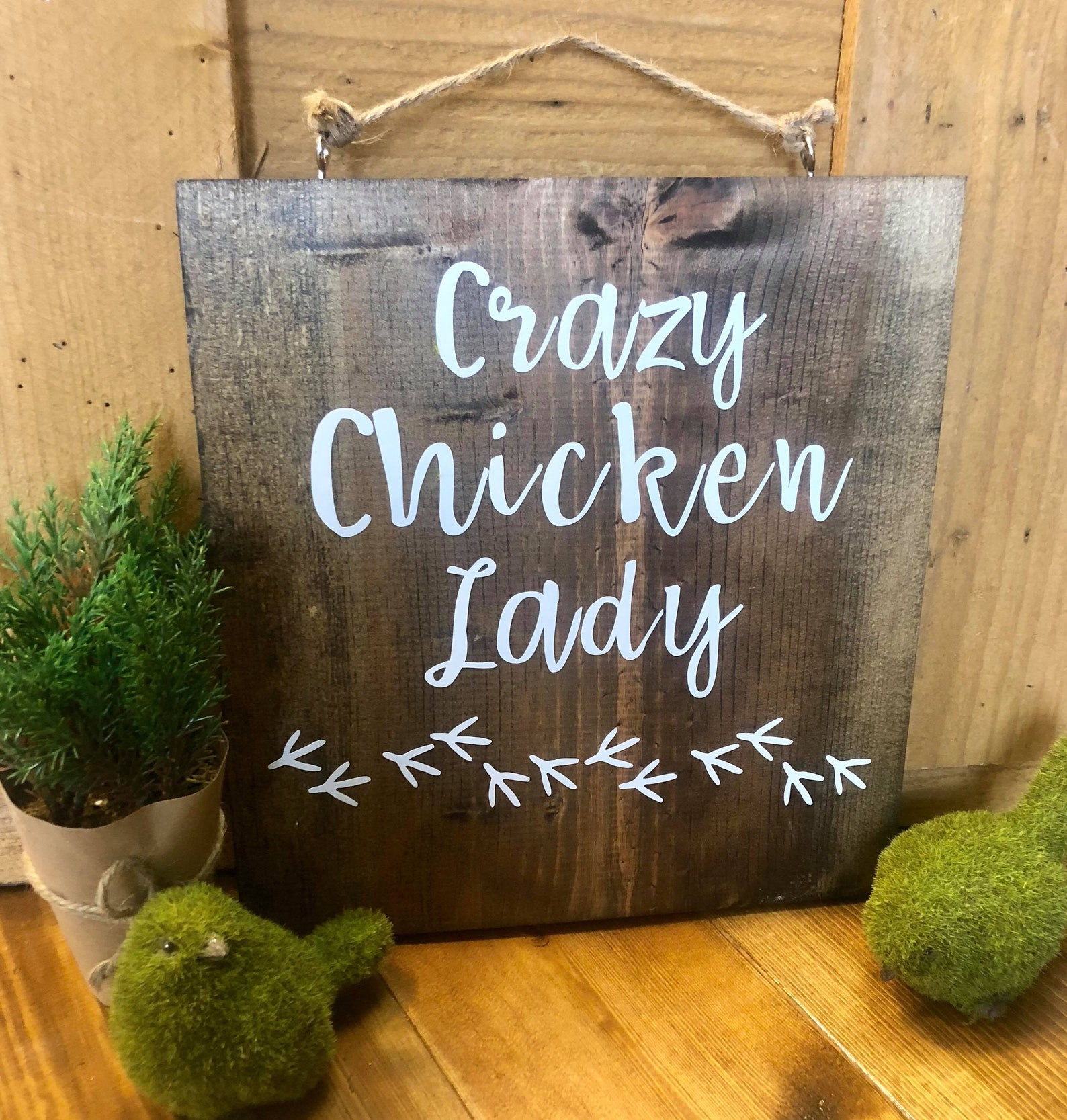 Crazy Chicken Lady Wood Sign Chicken Lovers Funny Sign - Etsy