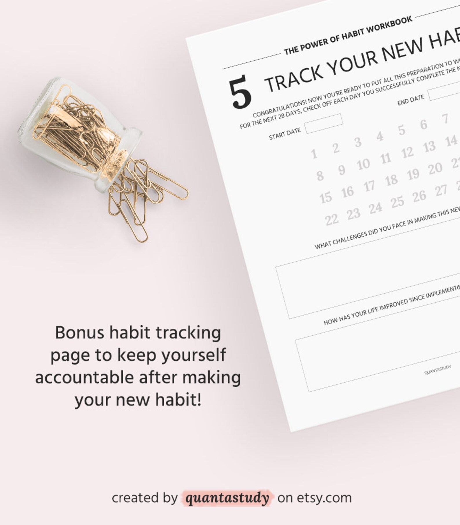 The Power of Habit Companion Workbook, Habit Tracker (digital Download ...