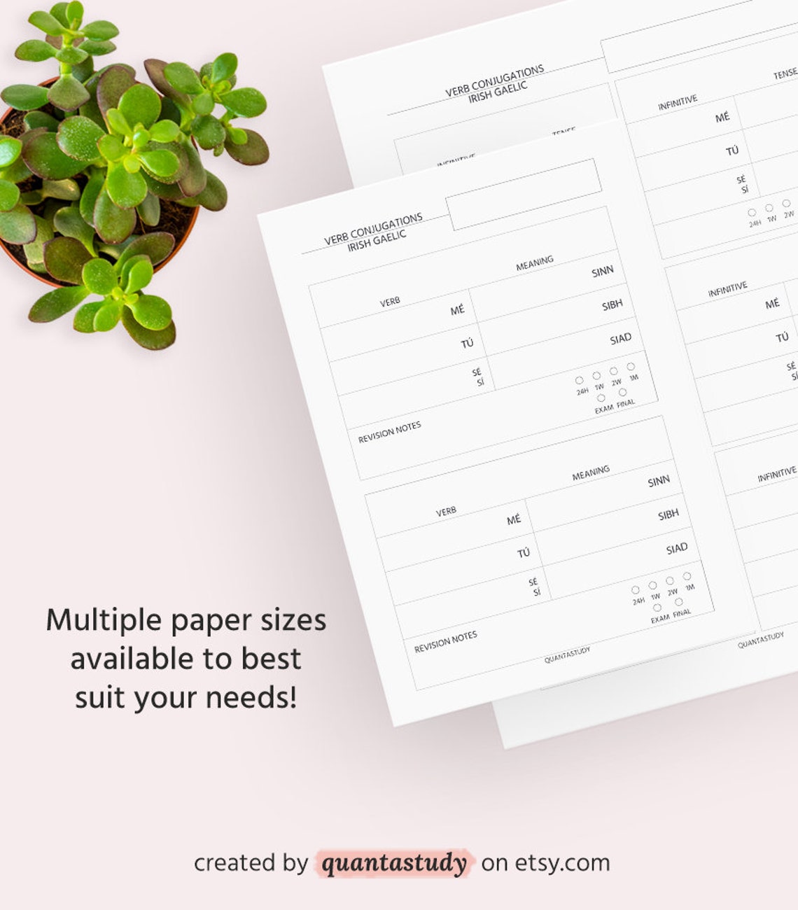 Irish Gaelic Verb Conjugation Printable Worksheets Download | Etsy