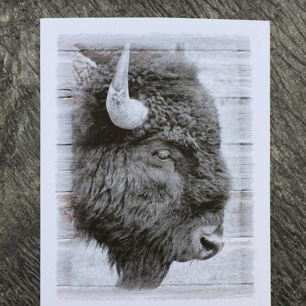 Buffalo Photo - Etsy