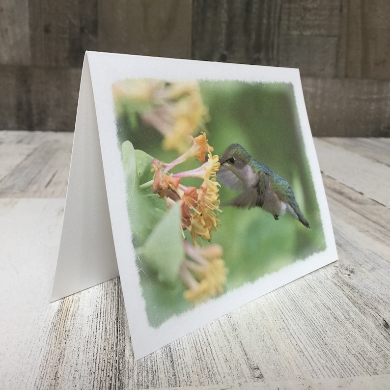 Hummingbird Note Card Set Boxed Set of Blank Notecards and - Etsy