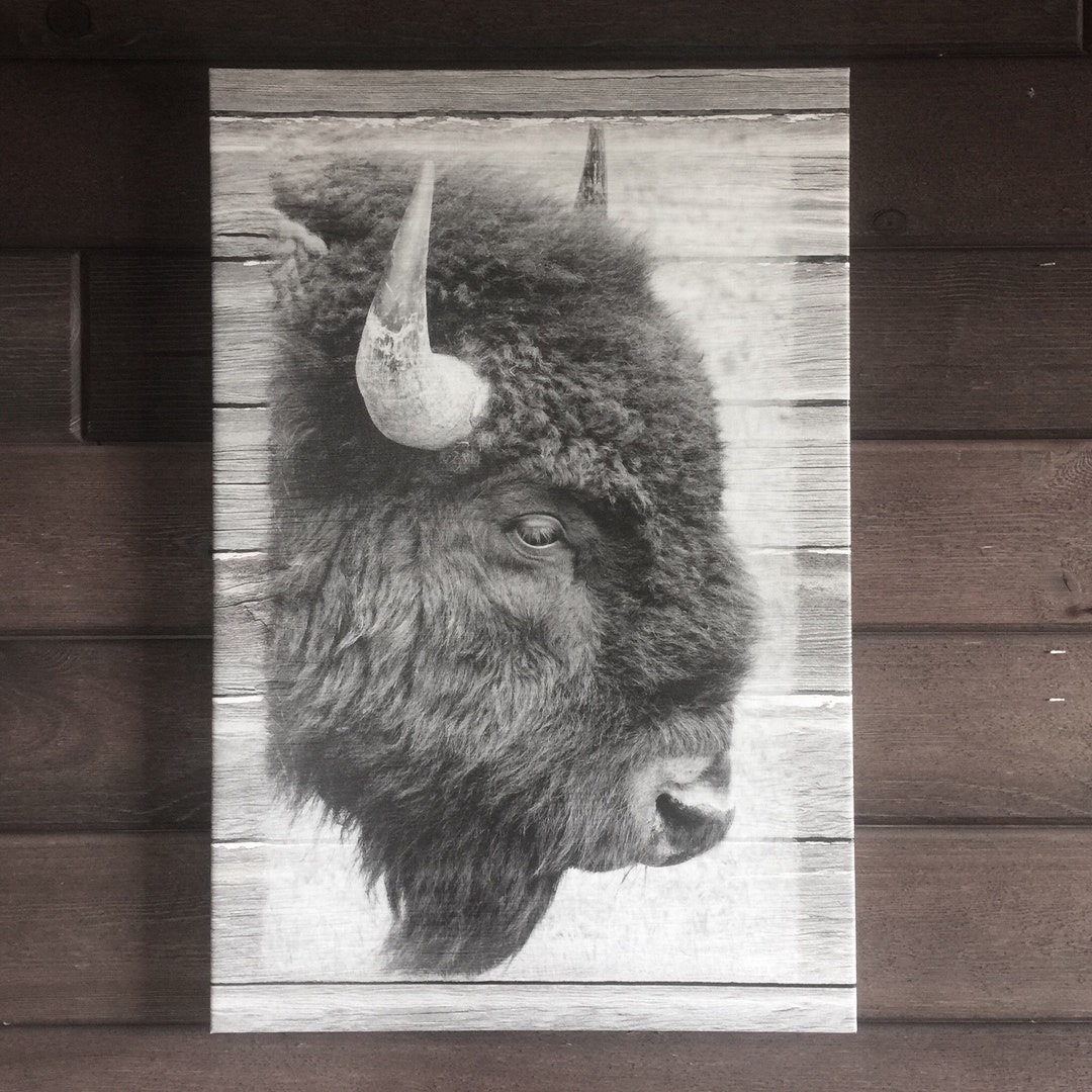 Bison Canvas Print, Western Wall Art, North Dakota Bison Picture, Gift ...