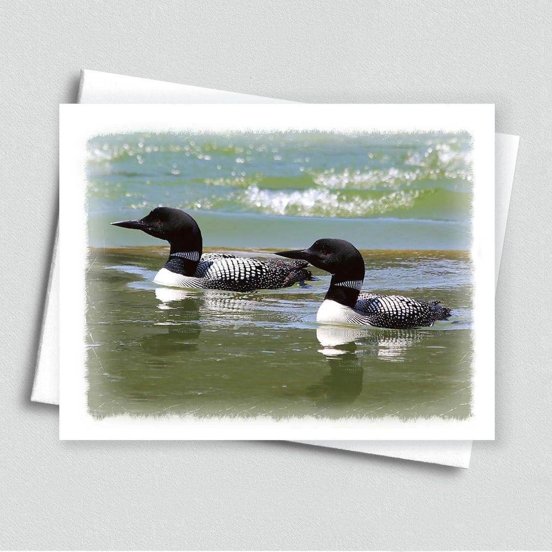 Loon Pair Note Cards: Blank Photo Card Set - Etsy