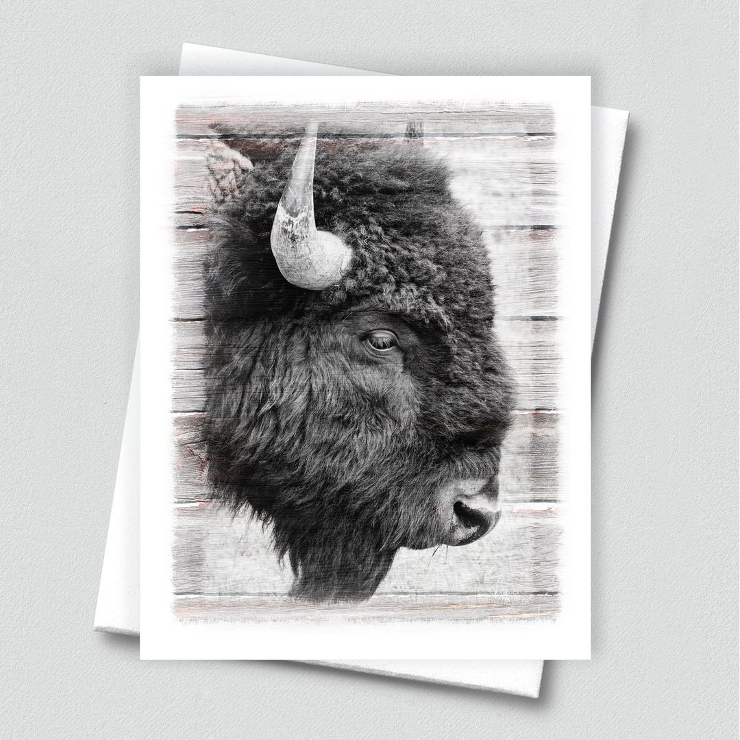 Bison Note Cards - Boxed Set of Blank Note Cards; Notecards With ...
