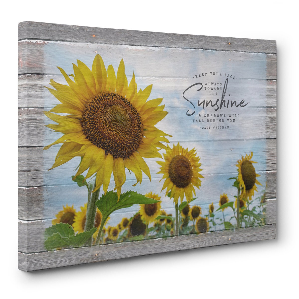 Sunflower Wall Art Keep Your Face Toward the Sunshine - Etsy