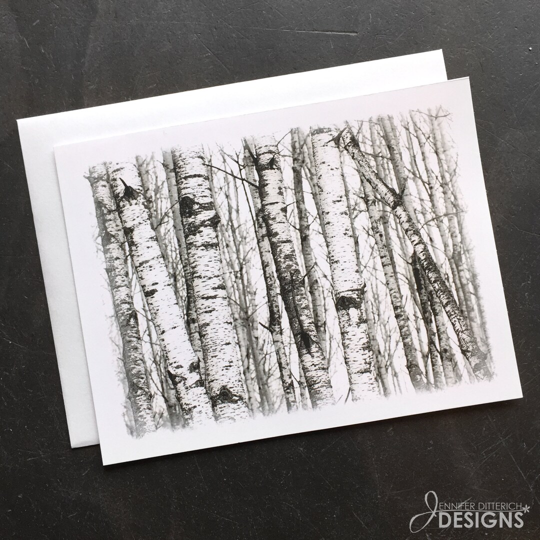 Birch Trees Note Card Set - Blank Boxed Cards With Envelopes - Etsy