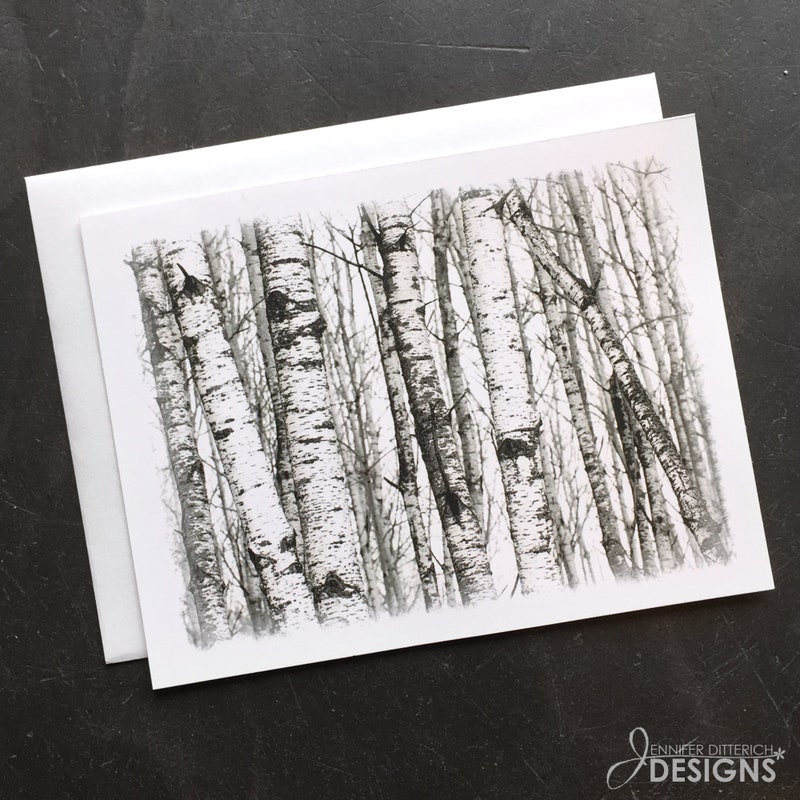 Note Cards Birch Trees - Etsy