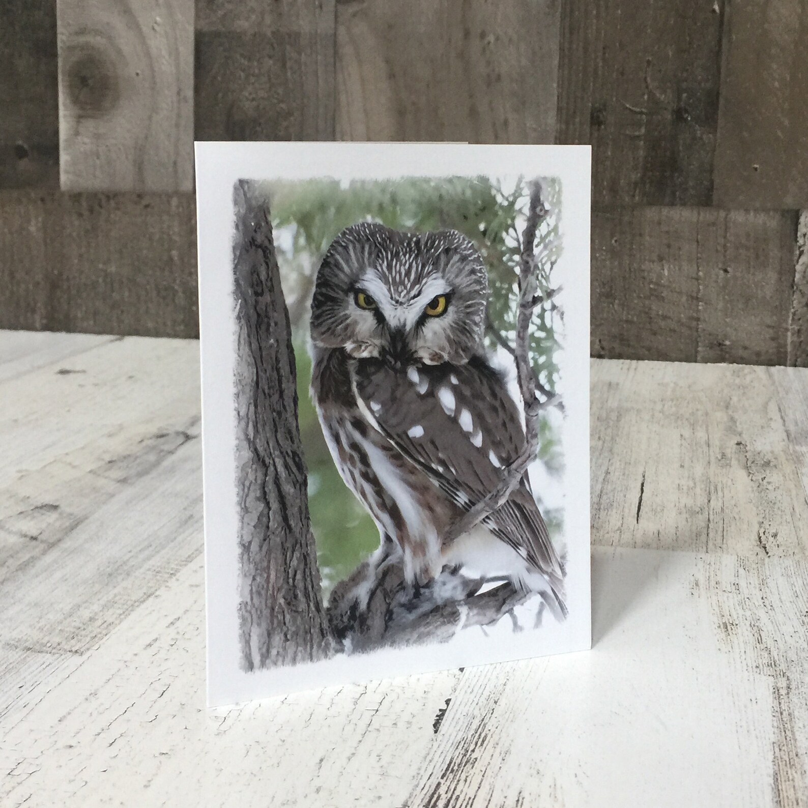 Owl Note Card Set Boxed Set of Blank Notecards and 8 - Etsy