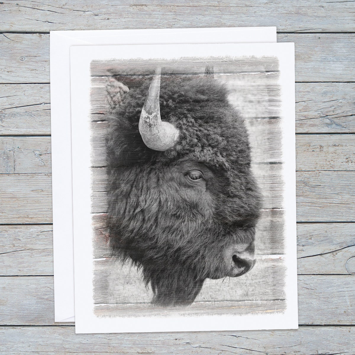 Bison Note Cards Boxed Set of Blank Note Cards Notecards | Etsy