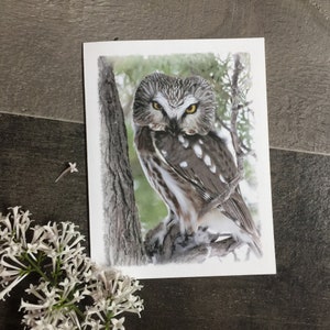 Owl Note Card Set; Boxed Set of Blank Note Cards and Envelopes With ...