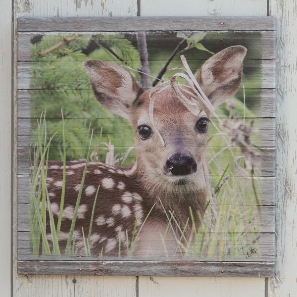 Tiny Fawn Prints - Etsy