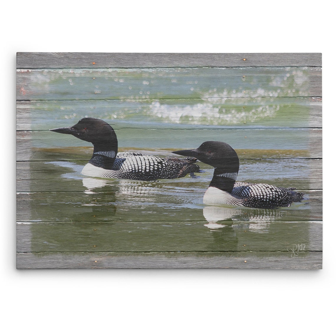 Loons on the Lake Canvas Print Loon Art for Lake House Loon - Etsy