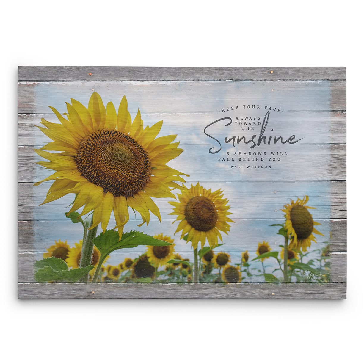 Sunflower Wall Art Keep Your Face Toward the Sunshine - Etsy