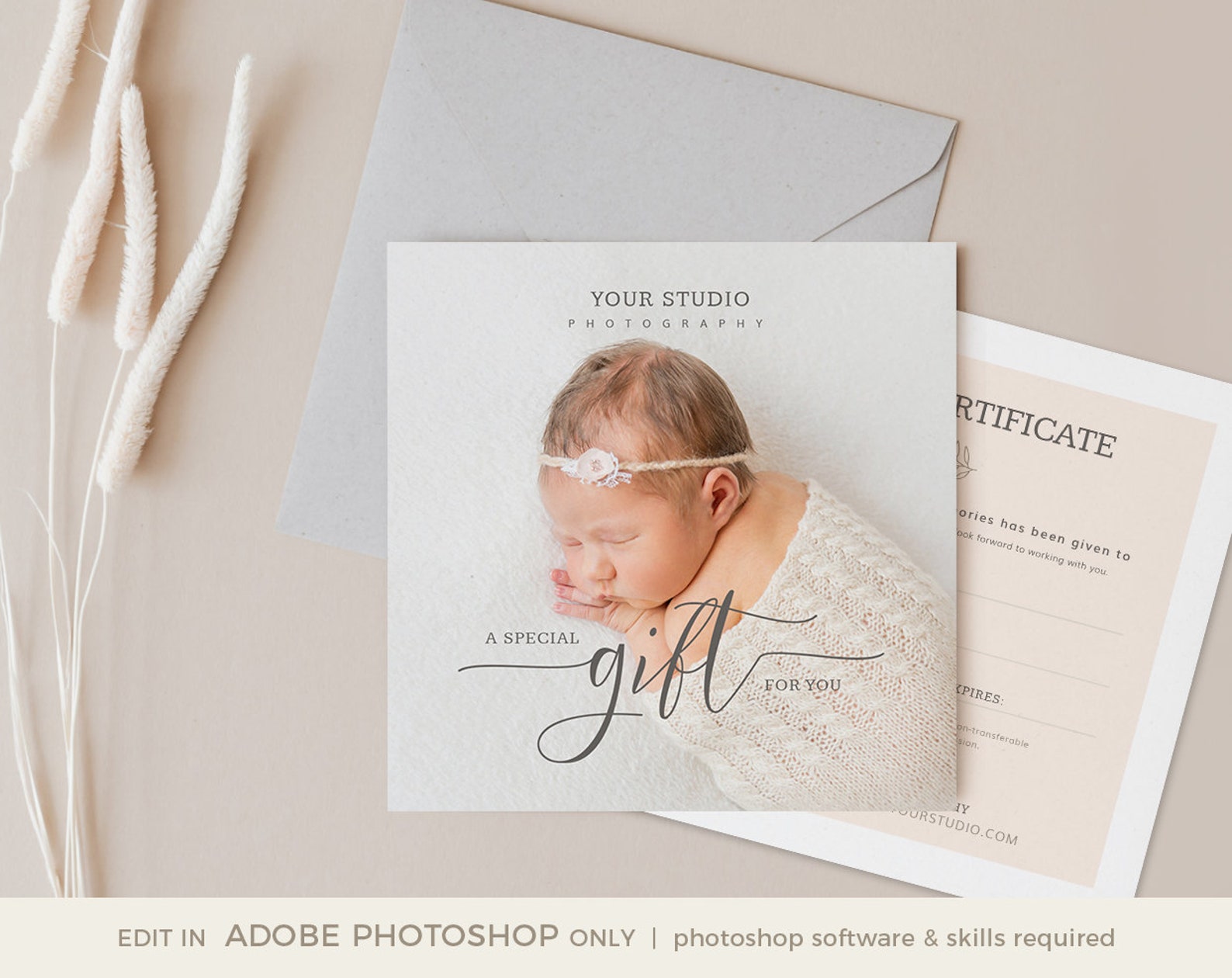 Newborn Photography Gift Certificate Template (photoshop .PSD) - Etsy