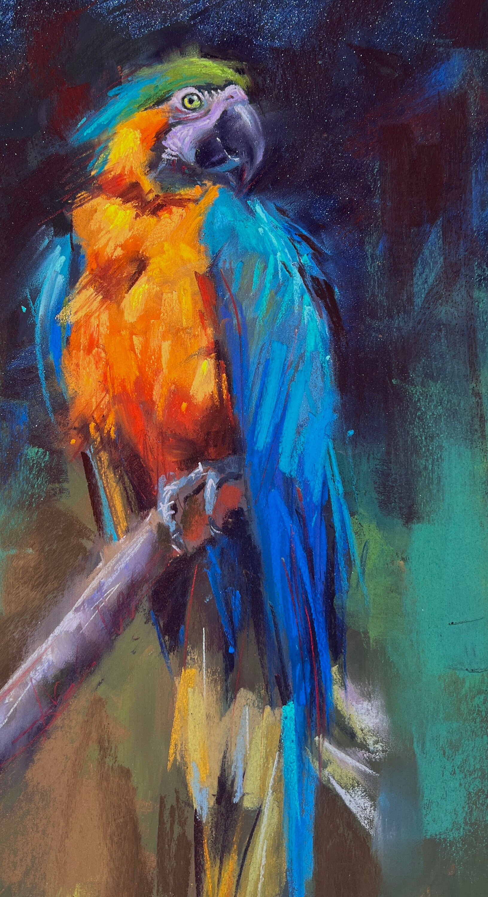Parrot Pastel Painting 10wx16h - Etsy