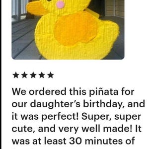 Duck Personalized Handmade Piñata, Party Game, Birthday Fun, Duck ...