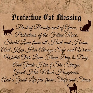 Custom Cat Familiar Blessing Spell Digital Download Book of - Etsy Canada