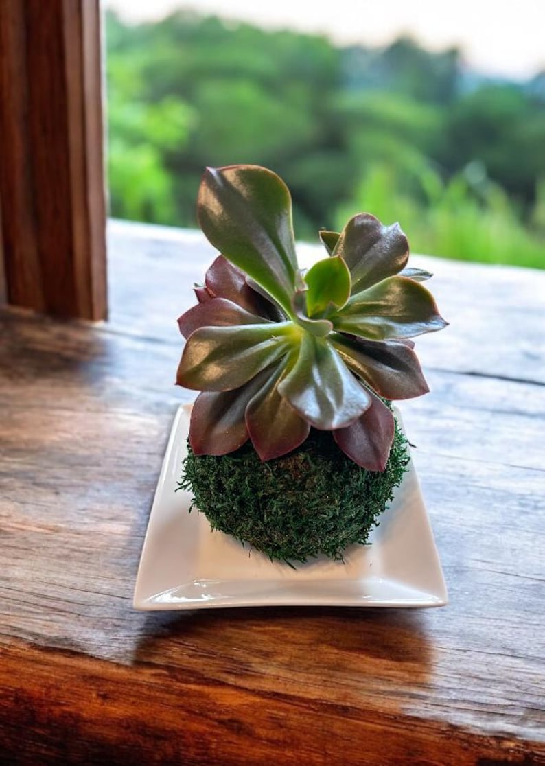 Minimalist Square Ceramic Plat - Etsy
