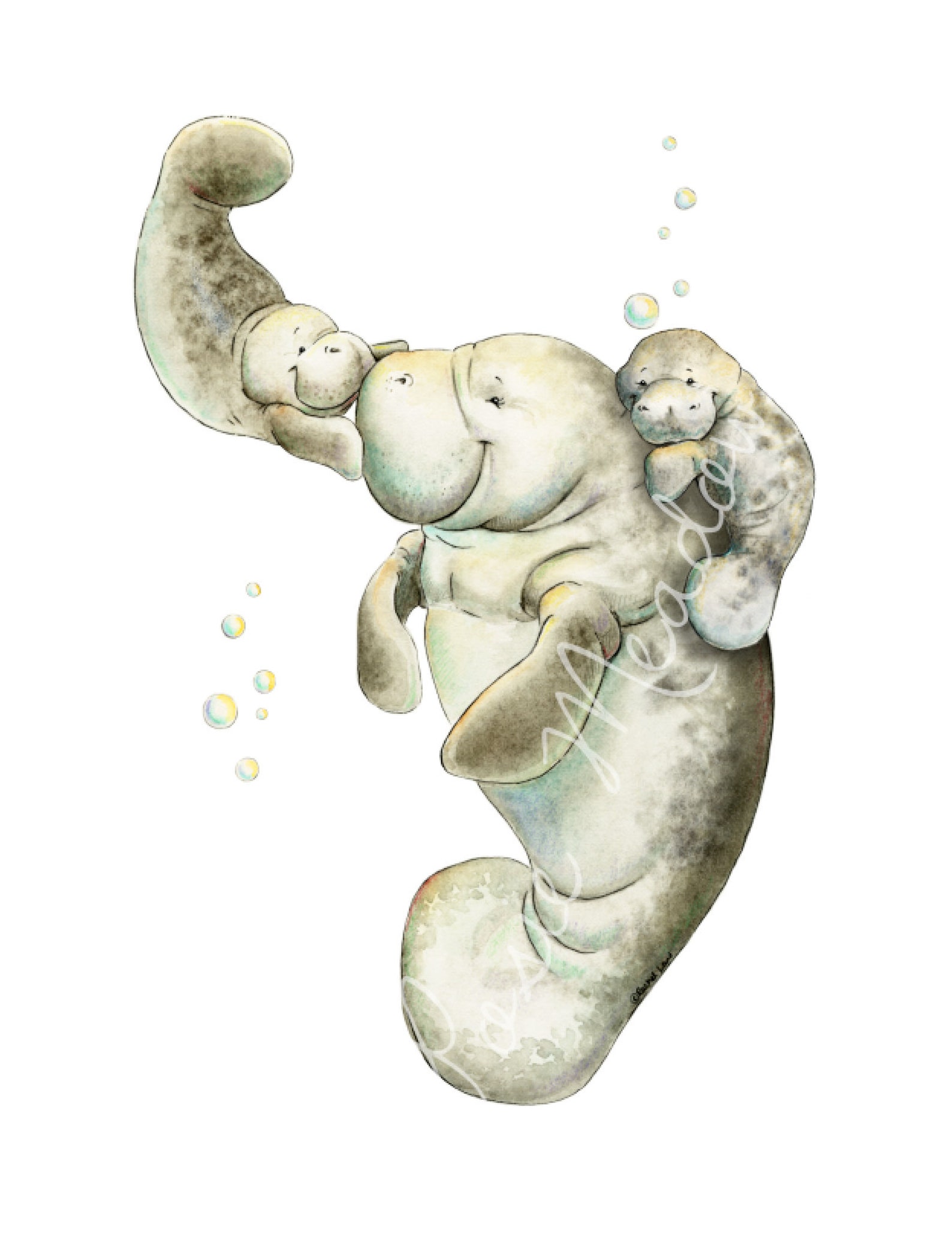 Mom and Baby Manatee Watercolor Manatee Manatee Cute - Etsy