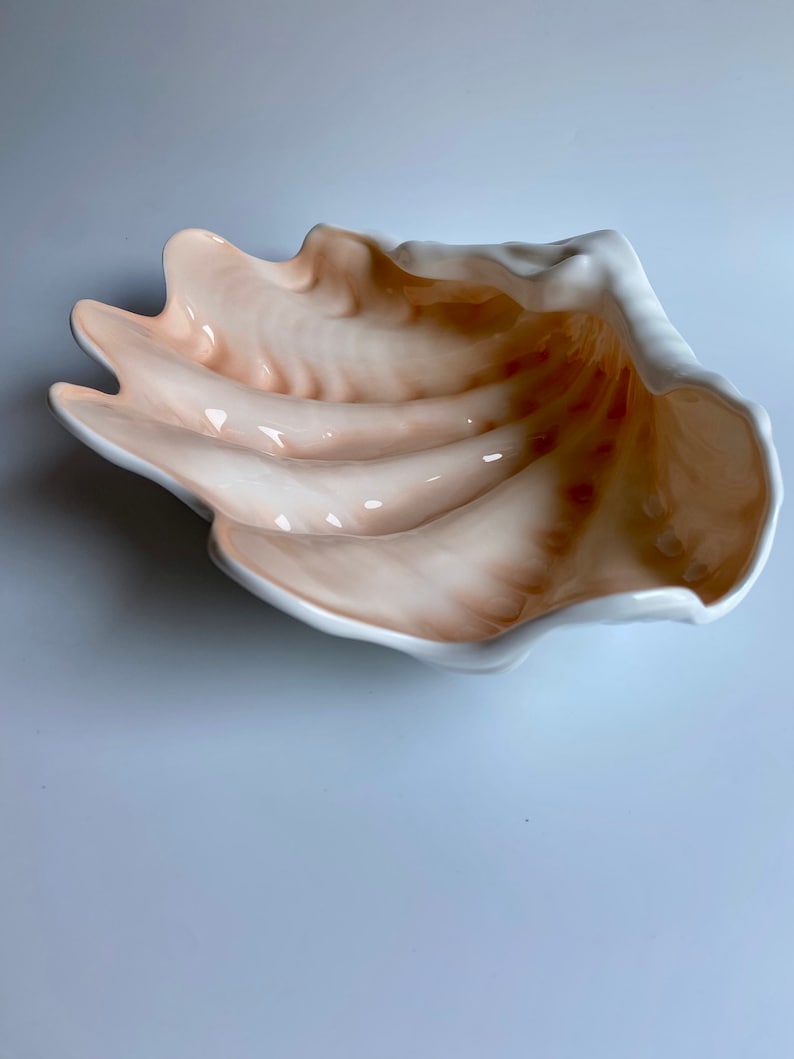 Wedgwood Nautilus Clam Shell Fruit Bowl 12" - Etsy