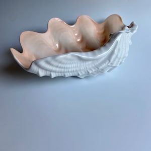 Wedgwood Nautilus Clam Shell Fruit Bowl 12" - Etsy