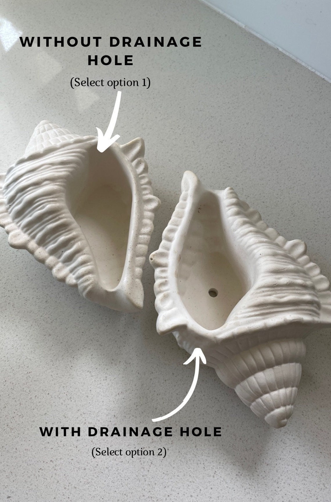 Neutral White Model Shell Planter Pot | Shell Planter | Planter | Pot ...