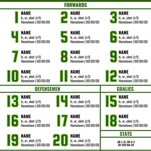 CUSTOMIZABLE Hockey Line Sheet Template - Etsy
