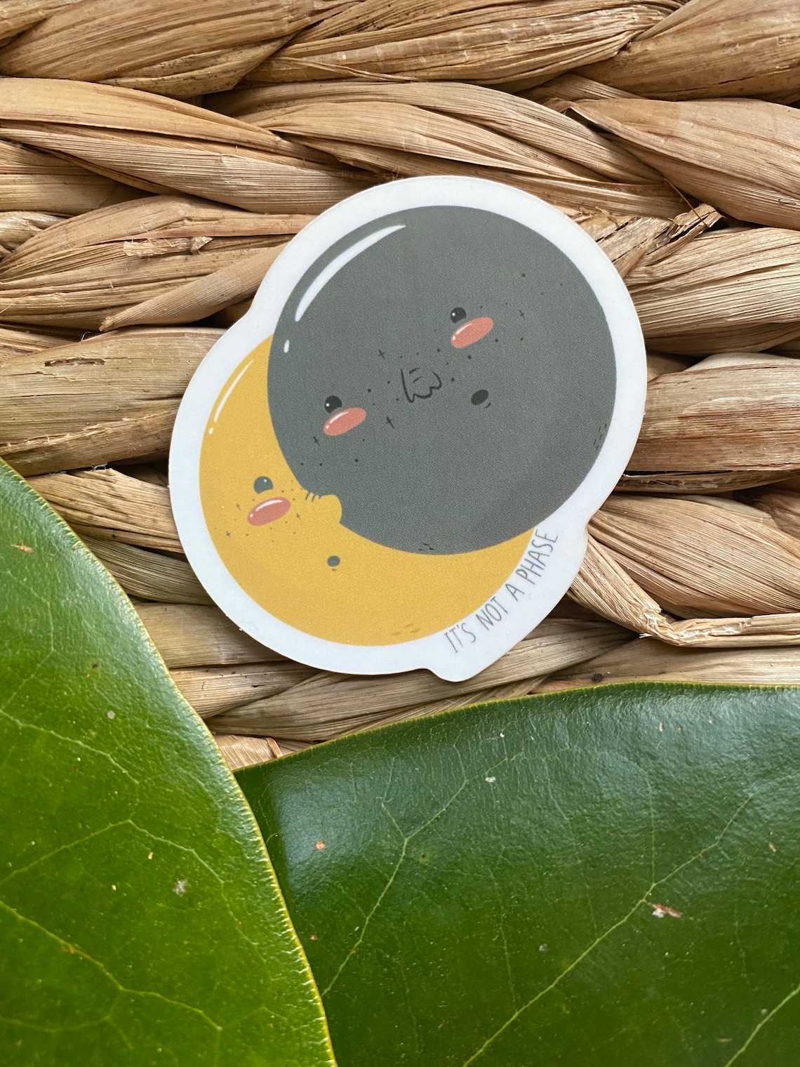 It’s Not a Phase Sticker - Etsy