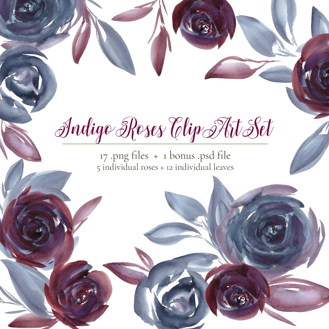 Indigo Rose Watercolor Clip Art Set, Garden Blog Design Resource PNG ...