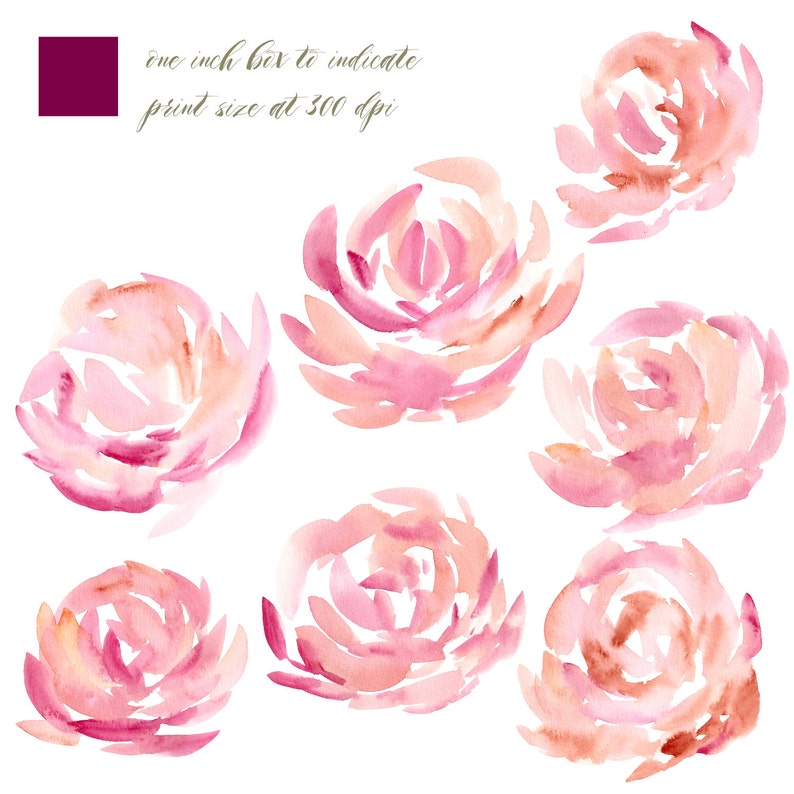 Peony Floral Watercolor Leaves Clip Art Set, Garden Blog Design ...