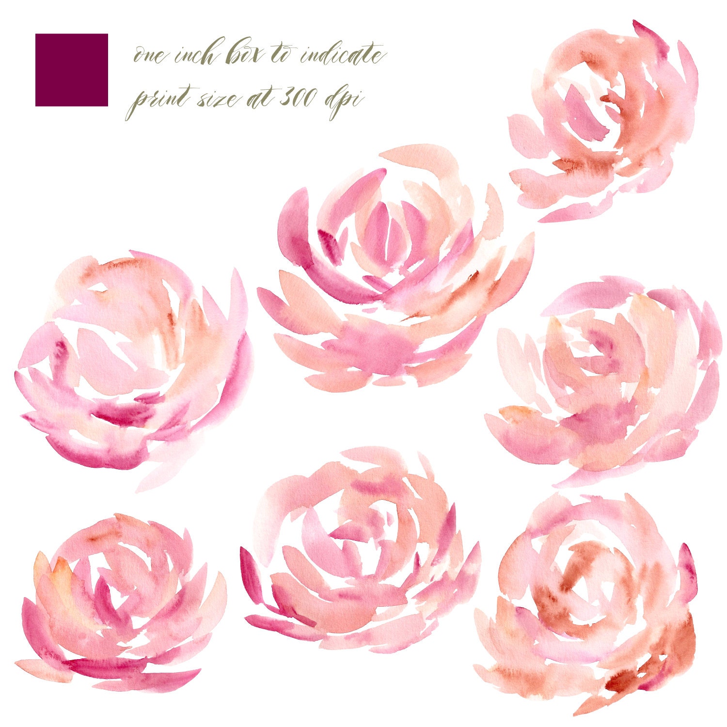 Peony Floral Watercolor Leaves Clip Art Set, Garden Blog Design ...