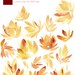 Autumn Floral Clip Art Set, Watercolor Blog Design Resource PNG PSD - Etsy