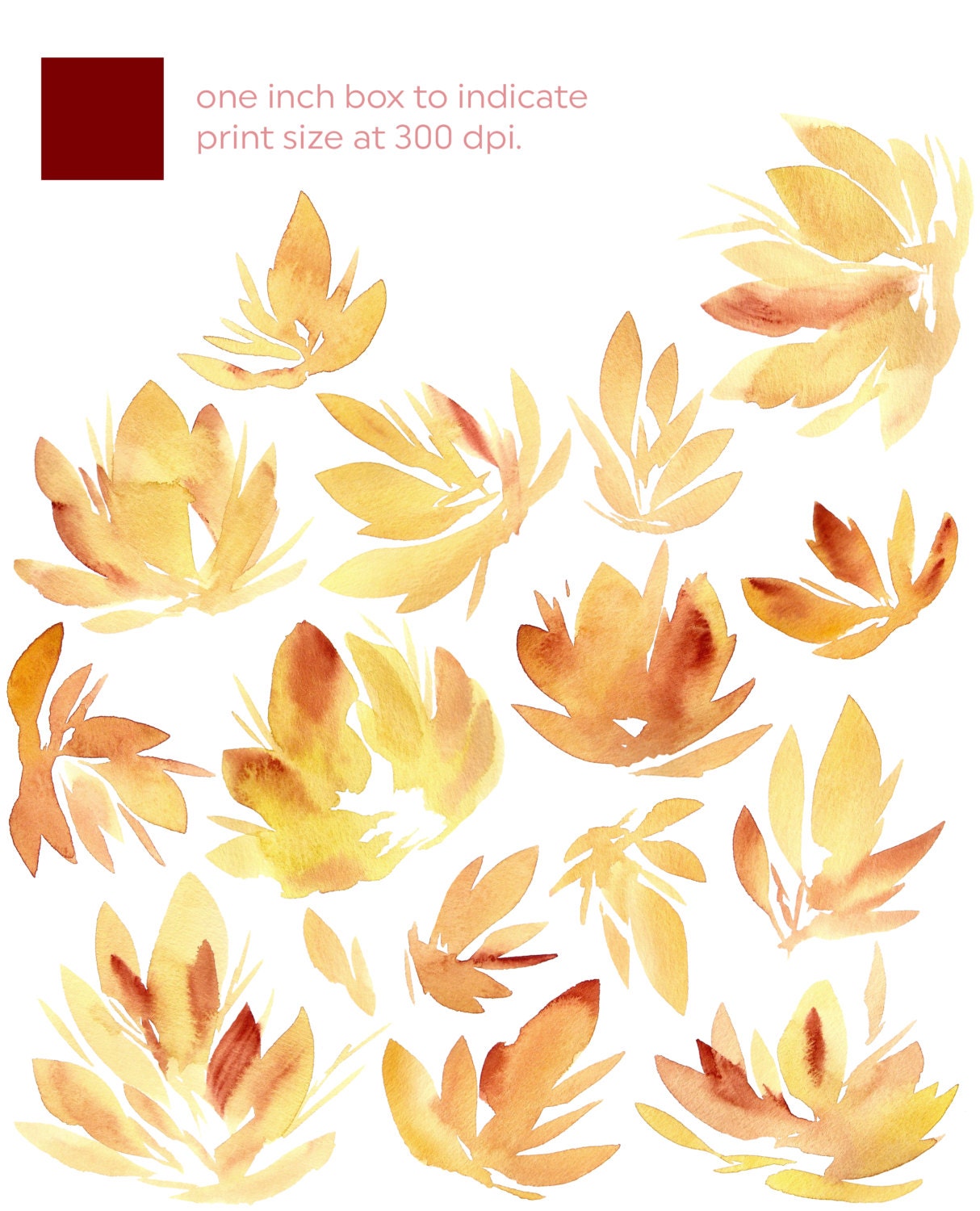 Autumn Floral Clip Art Set, Watercolor Blog Design Resource PNG PSD - Etsy