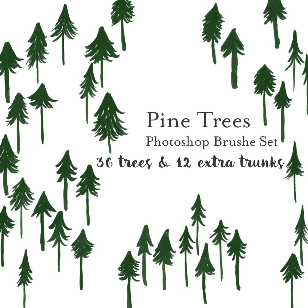 Rustic Pine Tree Photoshop Brush Set, Evergreen Scrapbooking Clip Art ...
