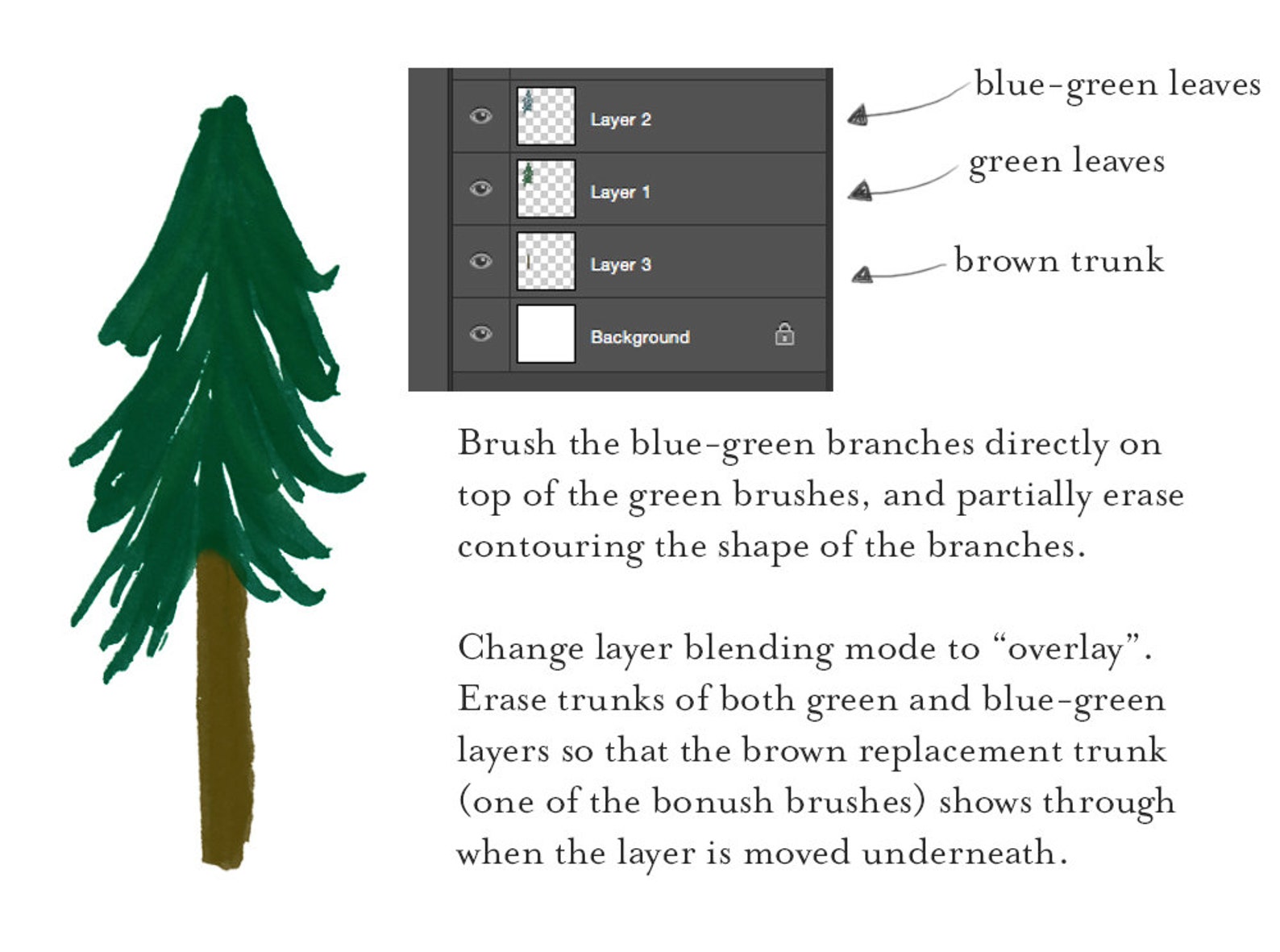 Rustic Pine Tree Photoshop Brush Set, Evergreen Scrapbooking Clip Art ...