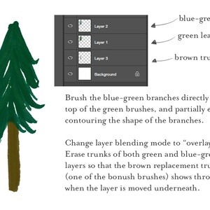 Rustic Pine Tree Photoshop Brush Set, Evergreen Scrapbooking Clip Art ...