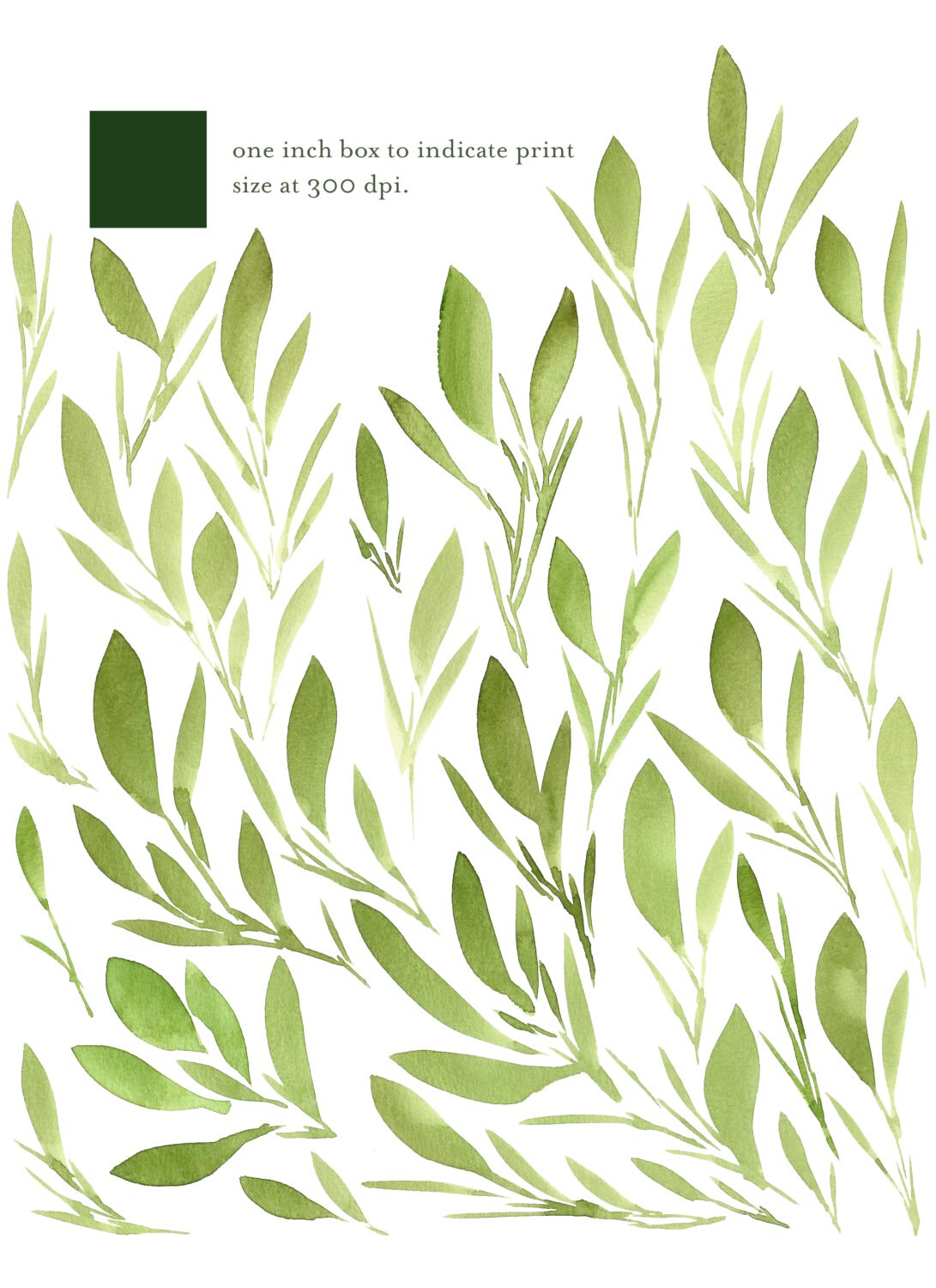 Green Watercolor Leaves Clip Art Set, Blog Design Resource PNG PSD - Etsy