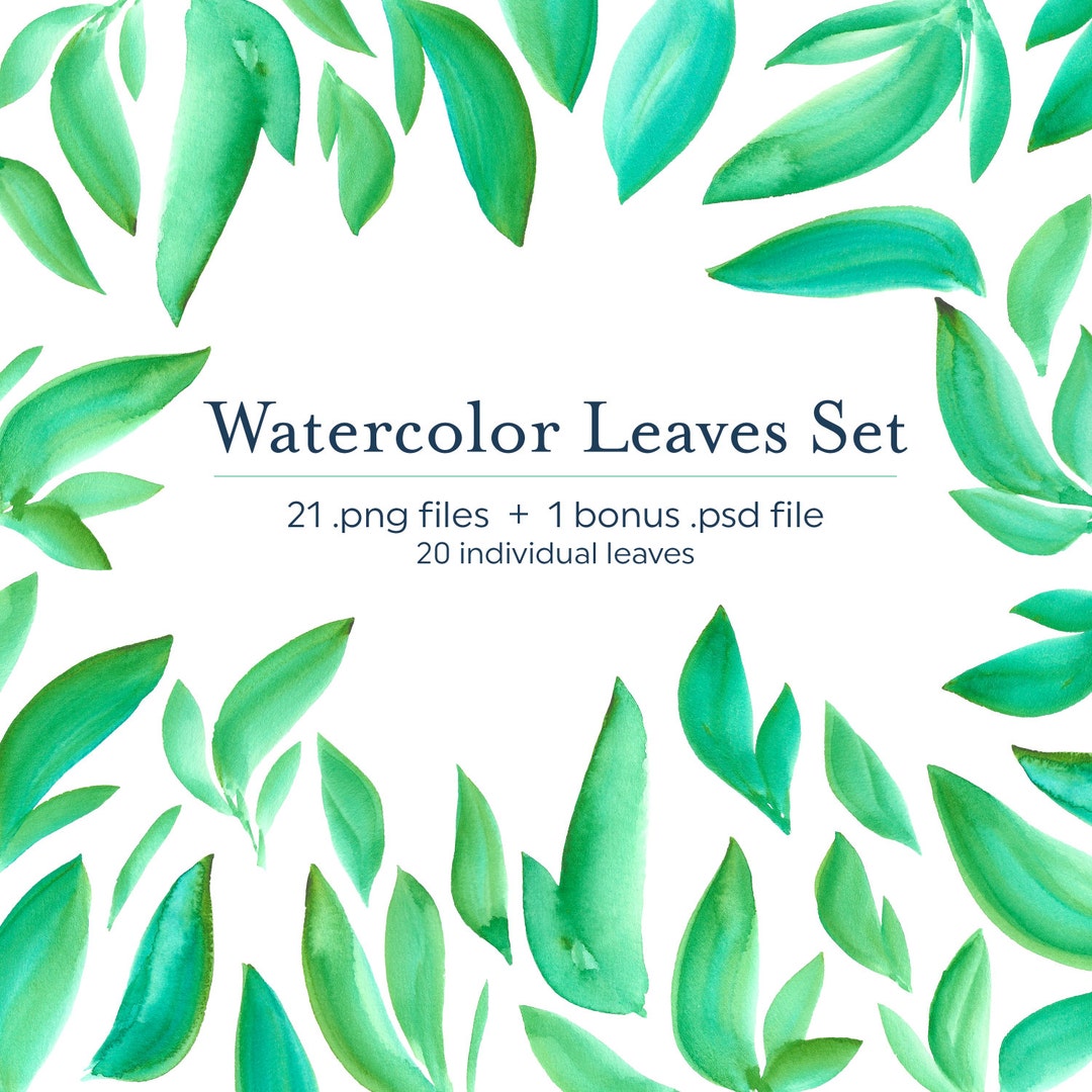 Watercolor Leaves Clip Art Set, Blog Design Resource PNG PSD - Etsy