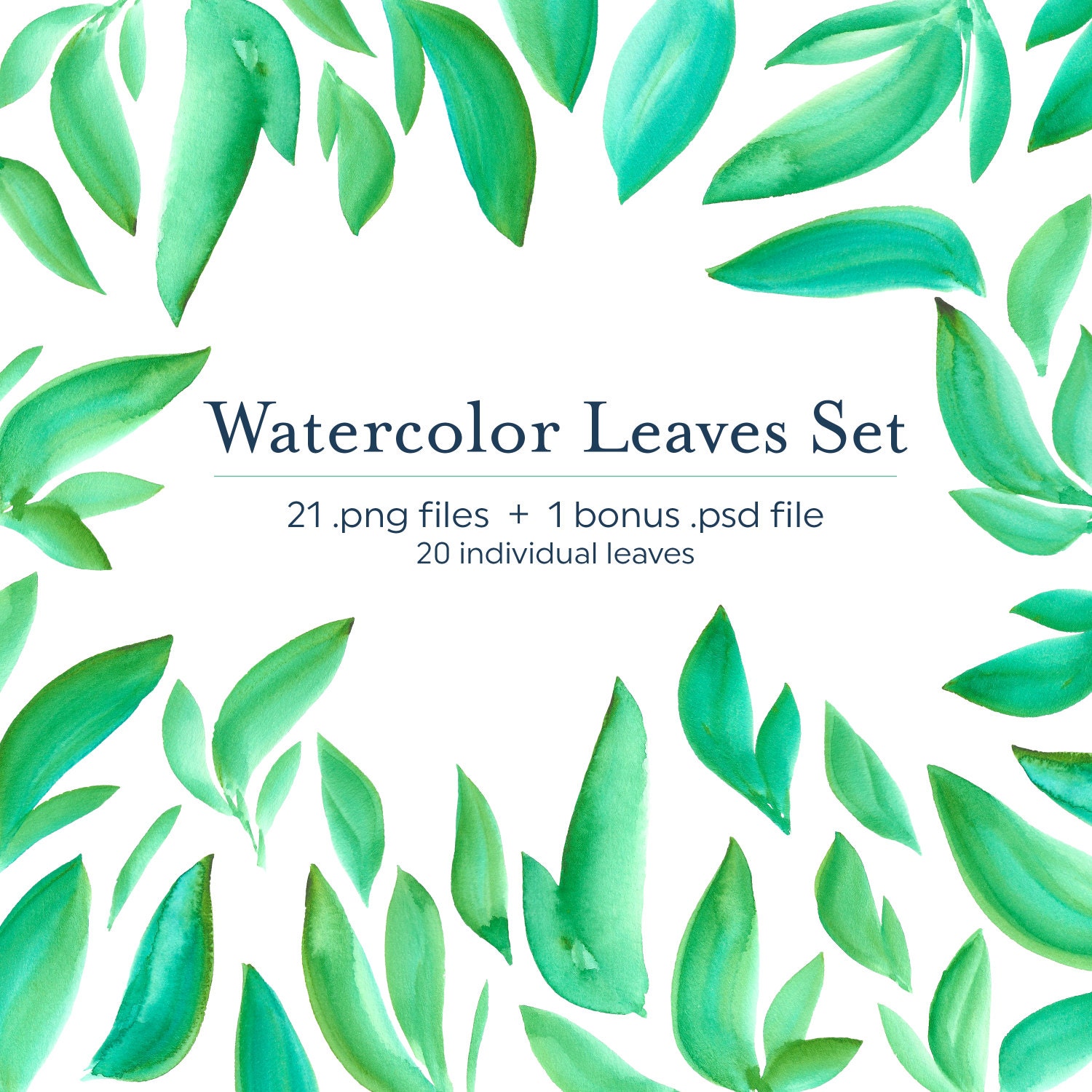 Watercolor Leaves Clip Art Set, Blog Design Resource PNG PSD - Etsy