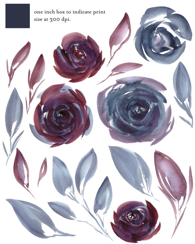 Indigo Rose Watercolor Clip Art Set, Garden Blog Design Resource PNG ...
