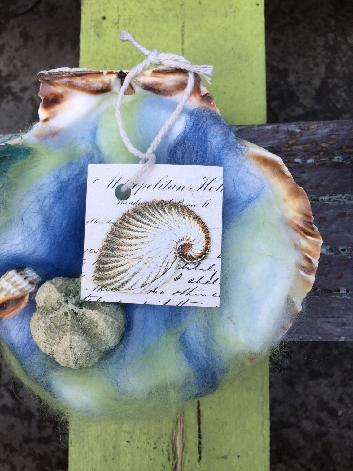 Asherah Needle Felted Sleeping Mermaid in Shell - Etsy