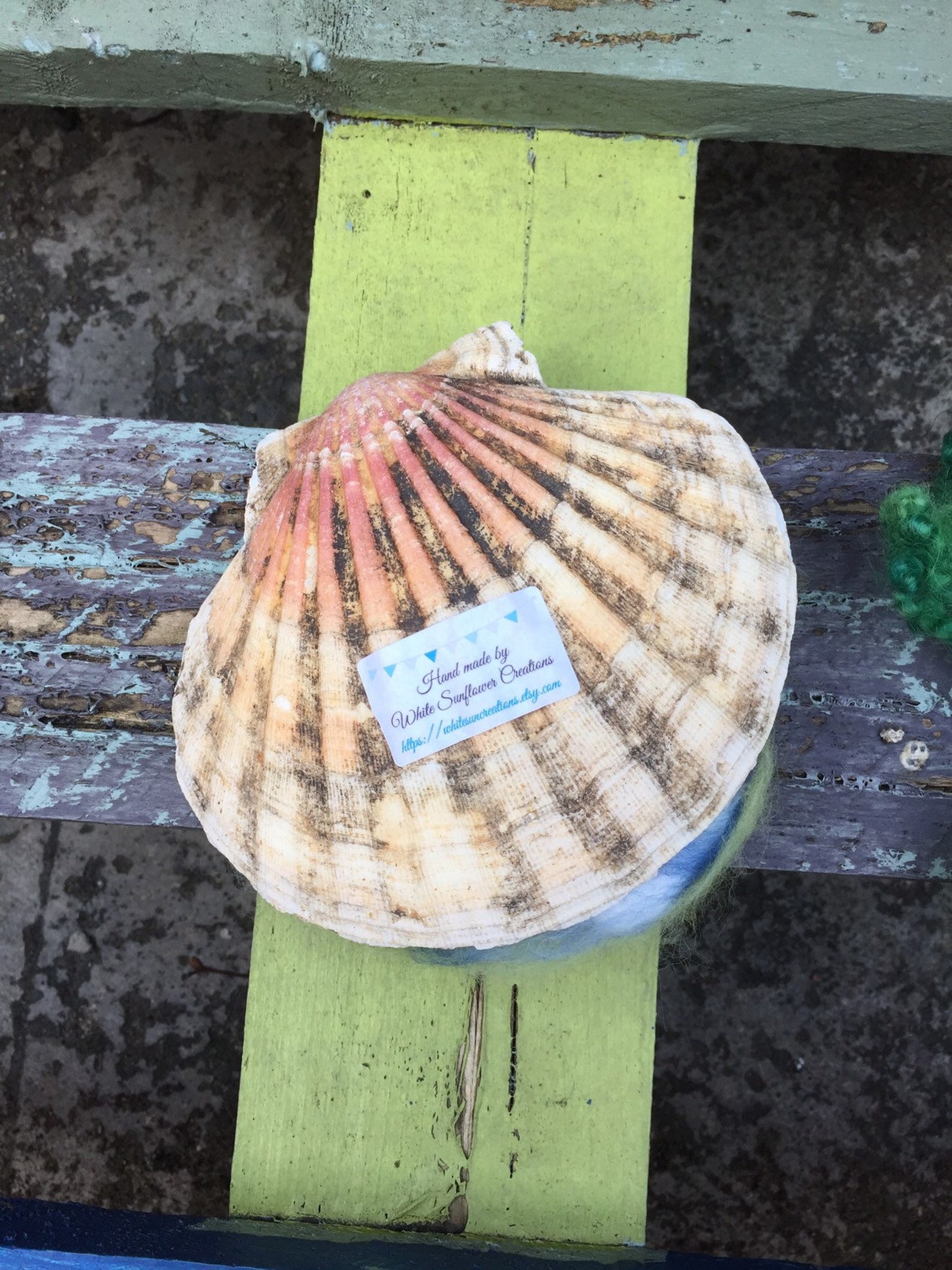 Asherah Needle Felted Sleeping Mermaid in Shell - Etsy